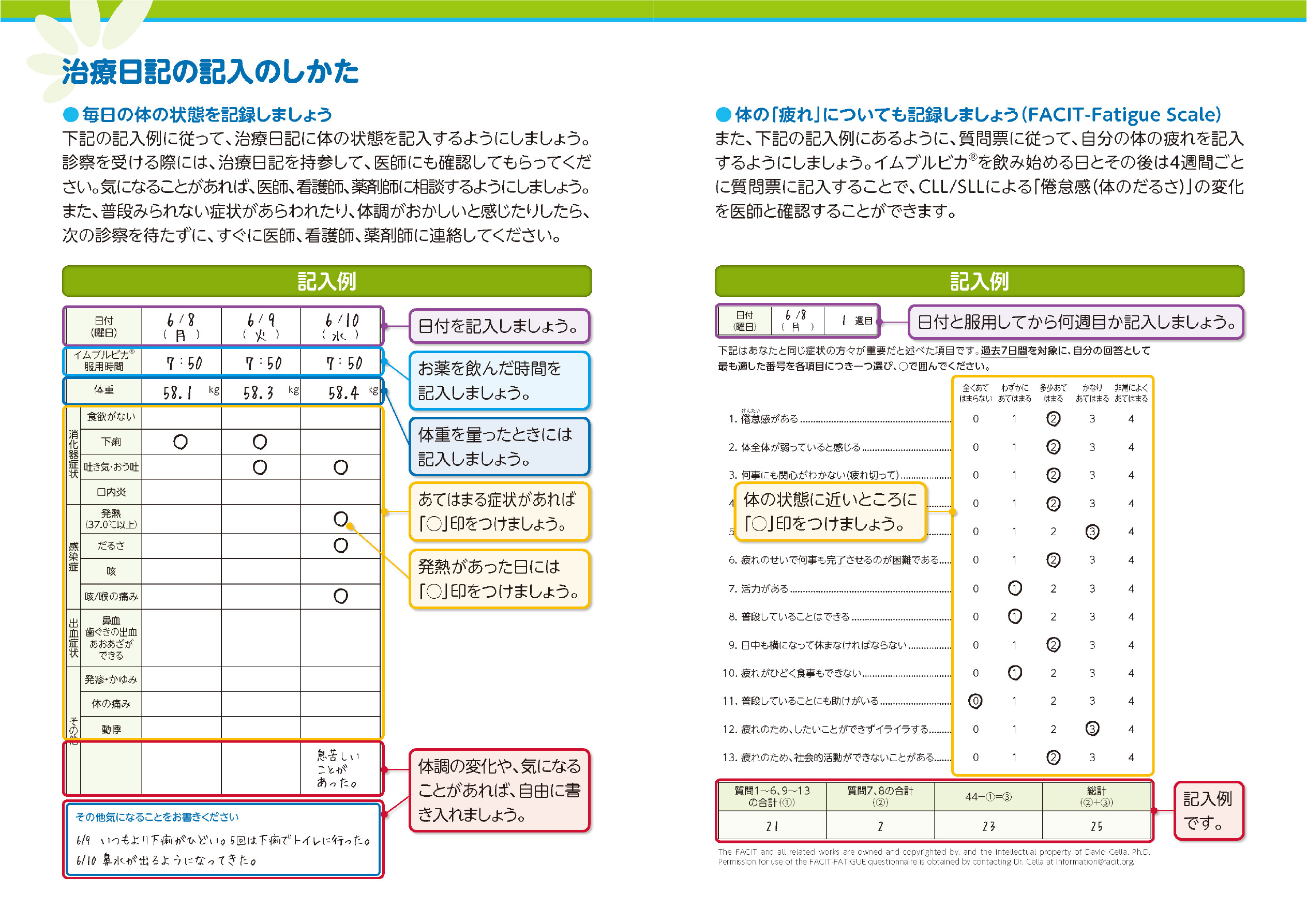 治療⽇記の記⼊のしかた｜イムブルビカ.jp